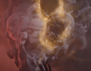 The Witness - Destinypedia, the Destiny wiki